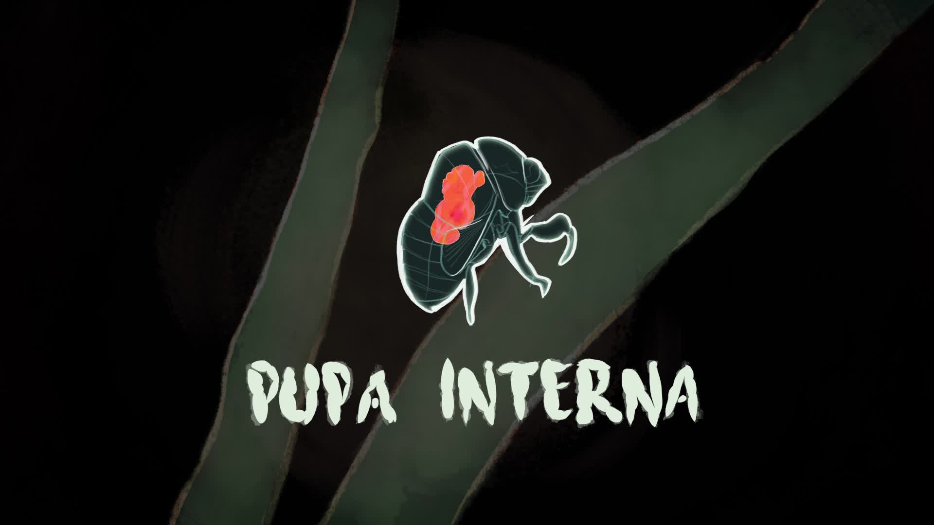 Pupa Interna - FilmFreeway