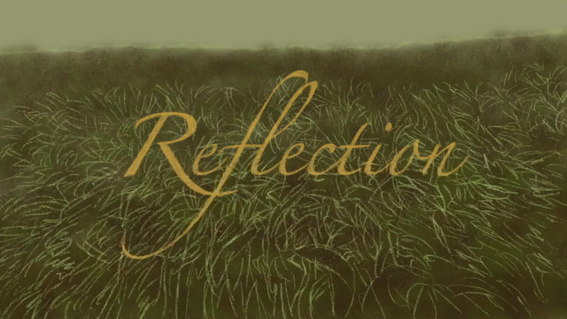 Reflection - FilmFreeway