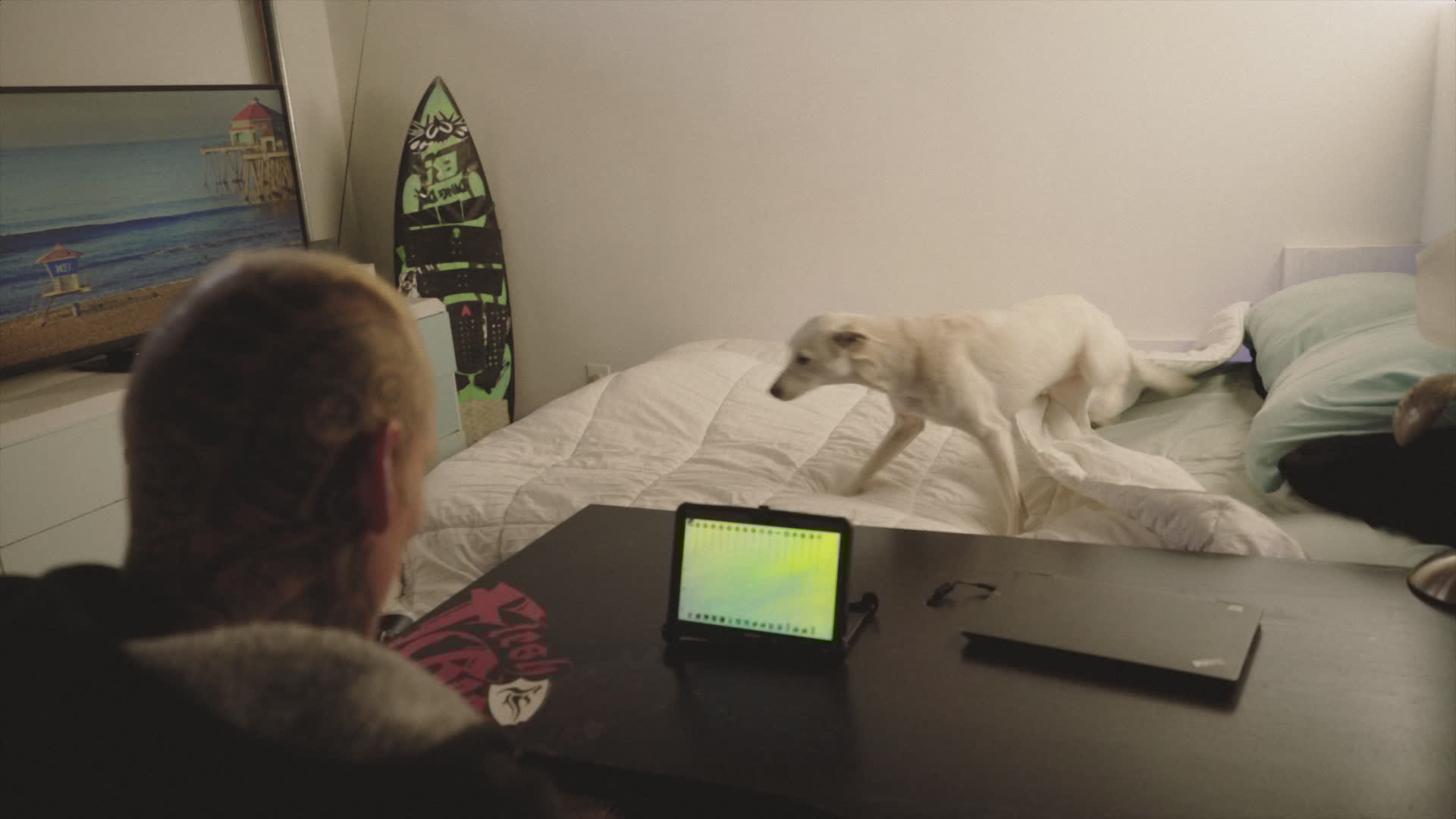 Surfing With Sugar - FilmFreeway