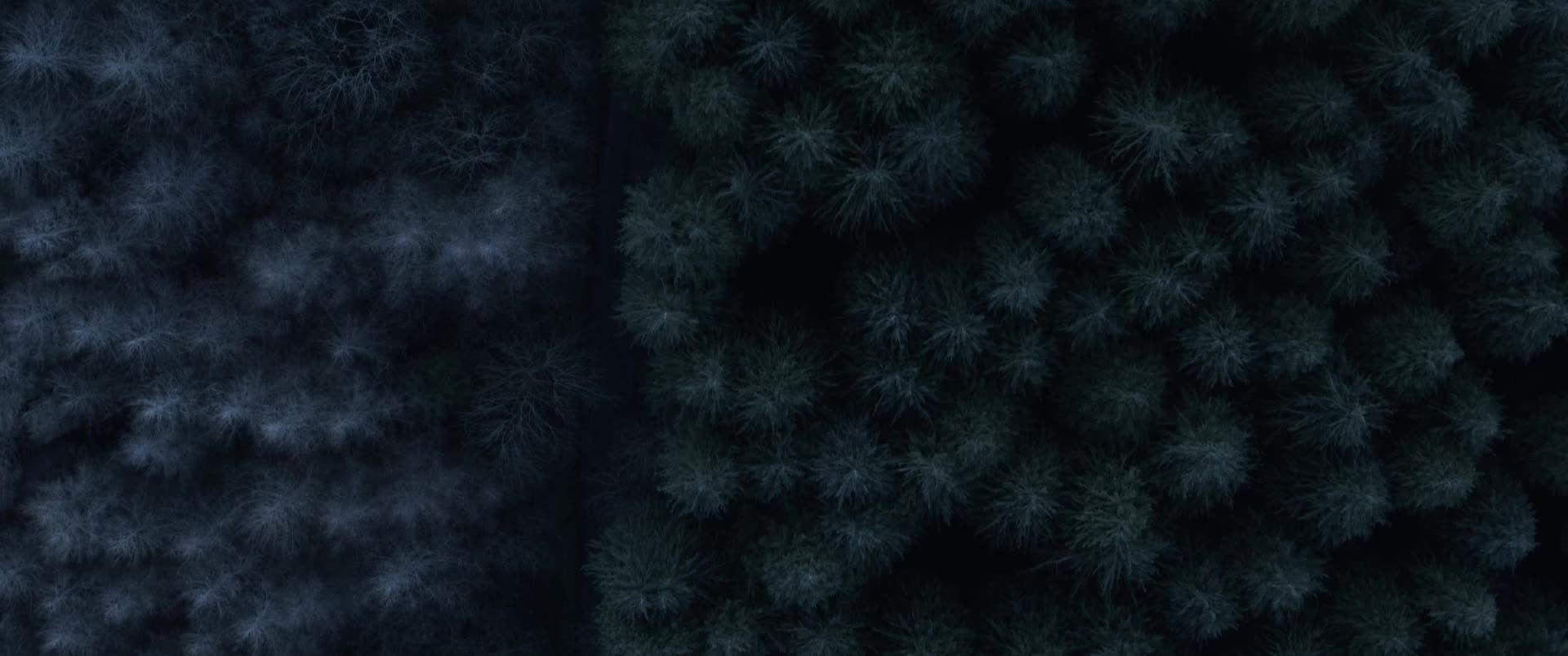 Shells - FilmFreeway