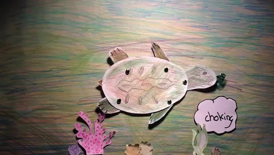 Turtle vs. Plastic Bag - FilmFreeway