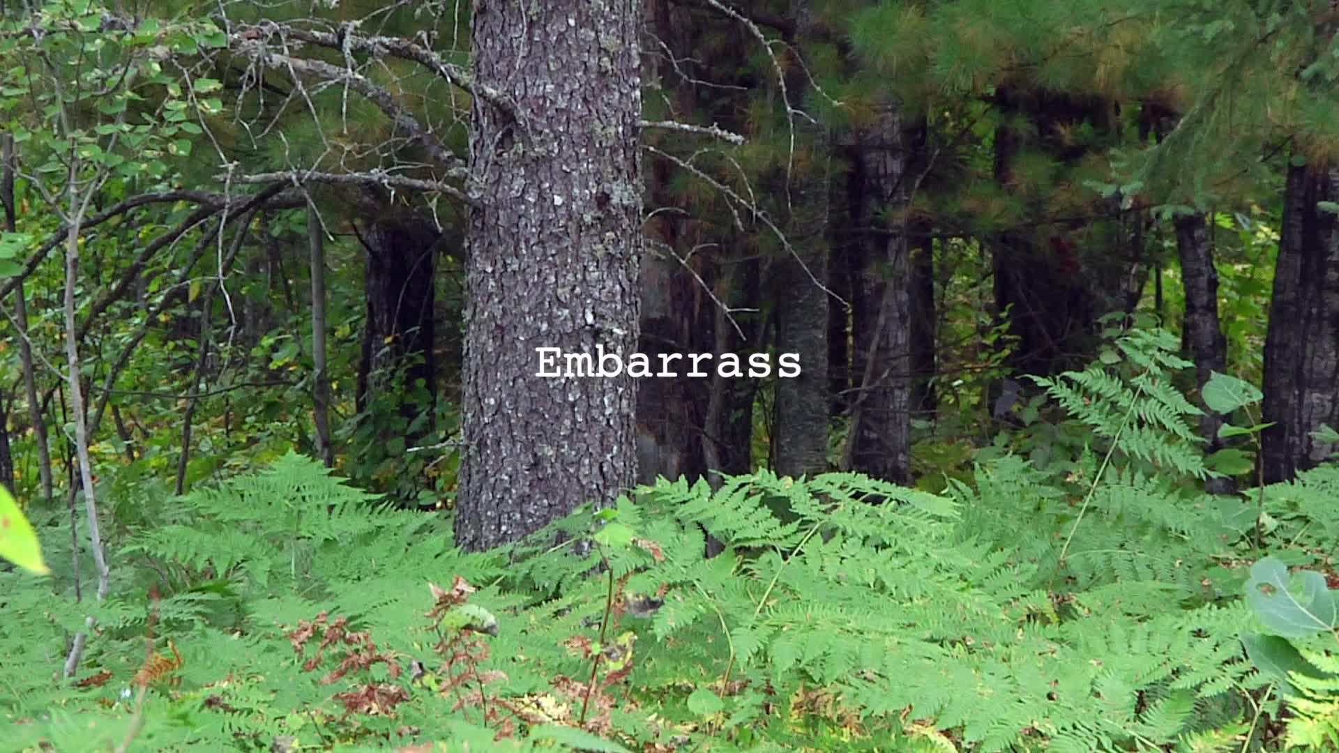 Embarrass - FilmFreeway