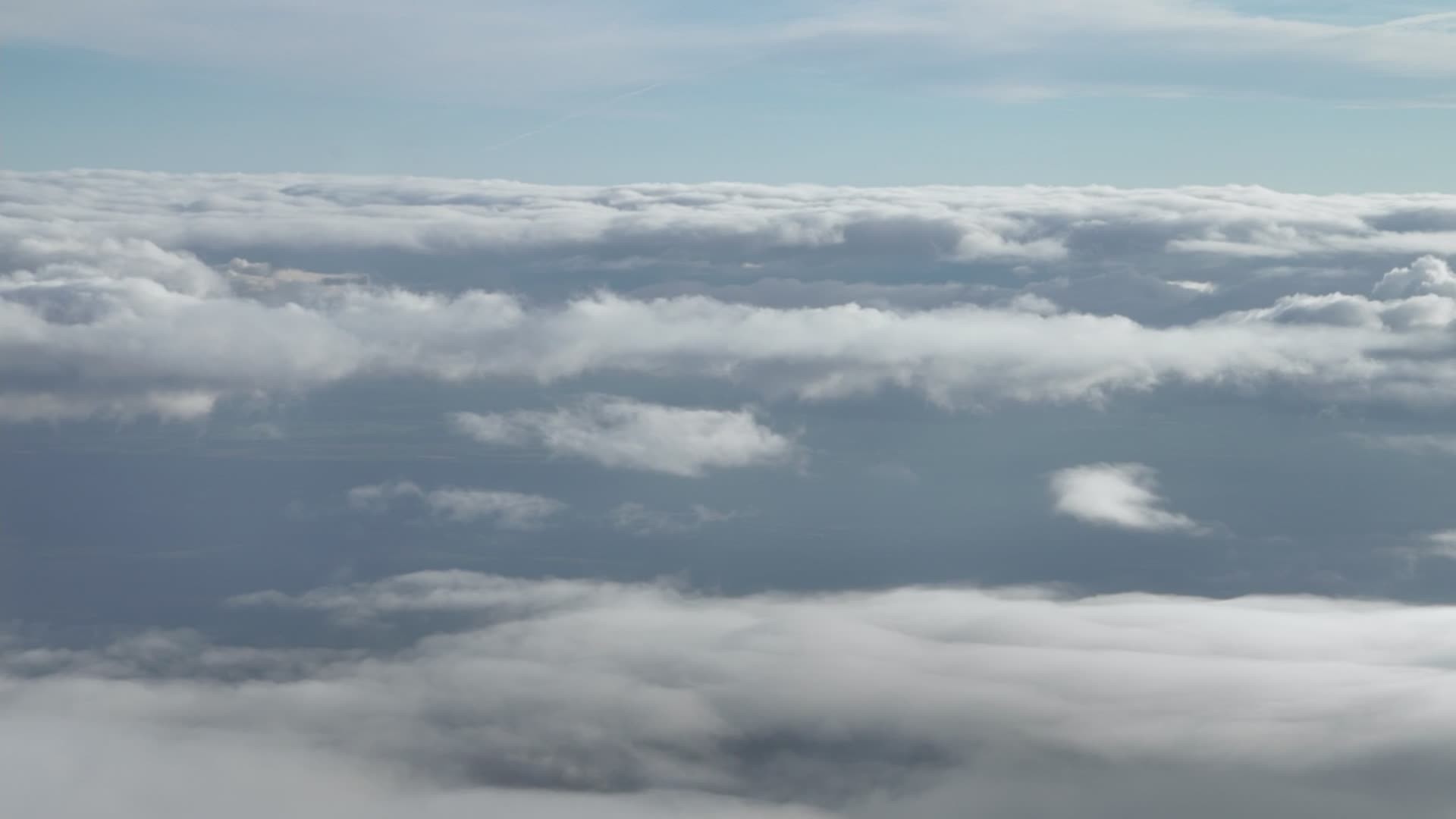 Fadia's Tree - FilmFreeway