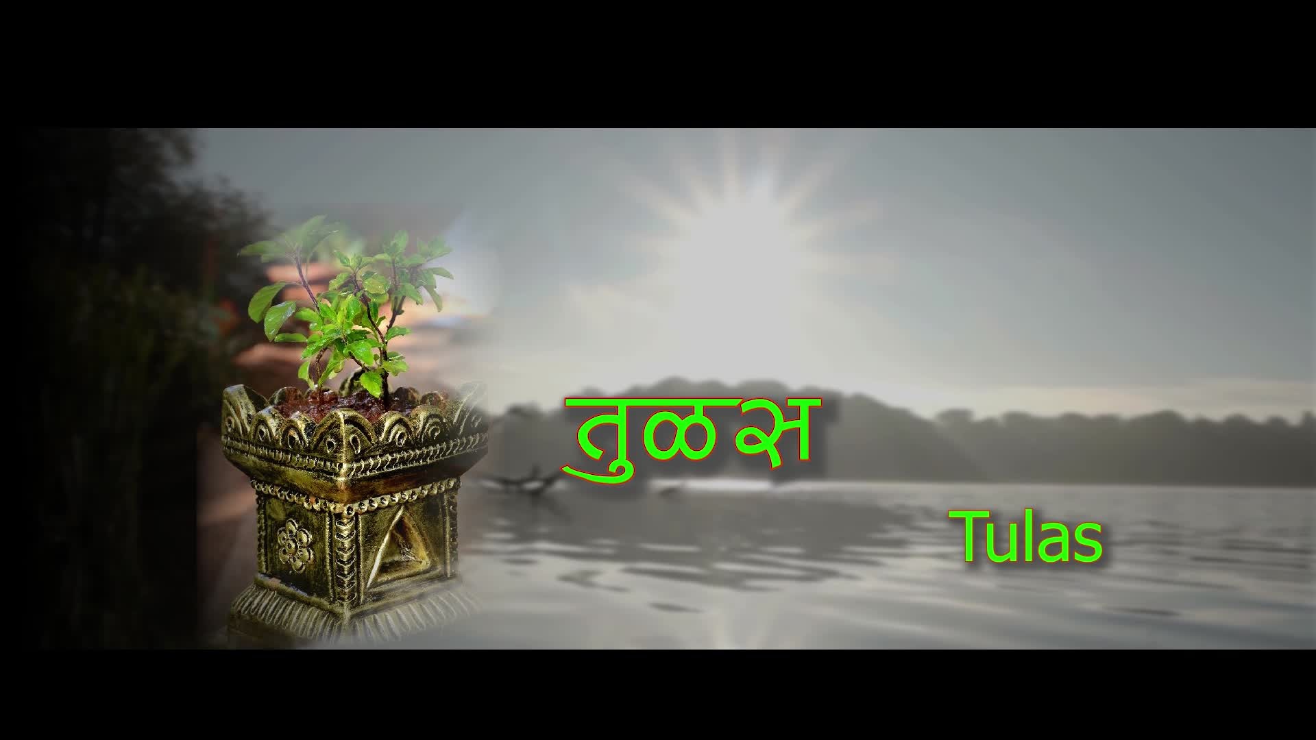 Tulas - FilmFreeway