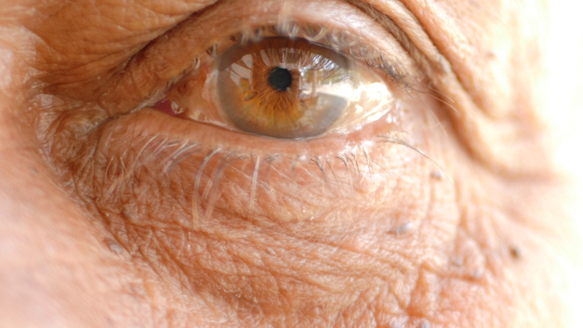 Chachan, A Day. - FilmFreeway