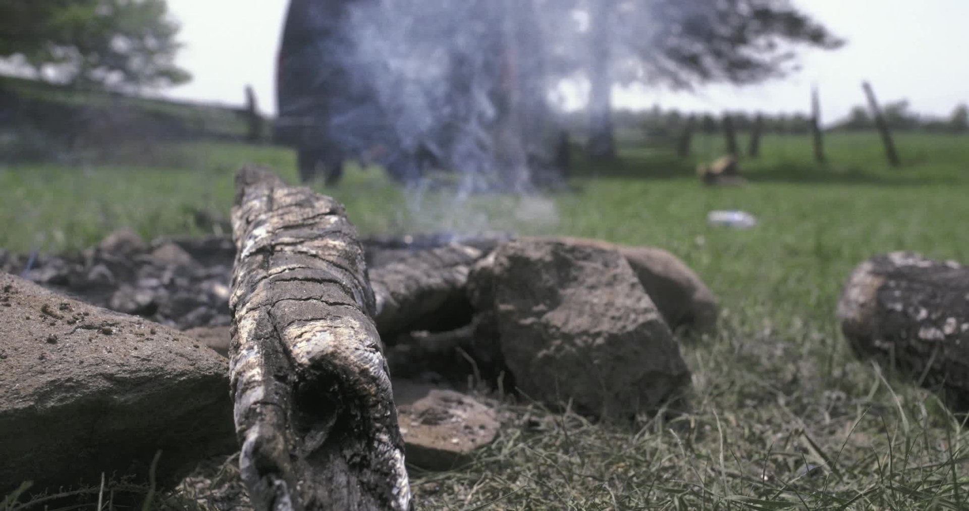 In The Pines - FilmFreeway