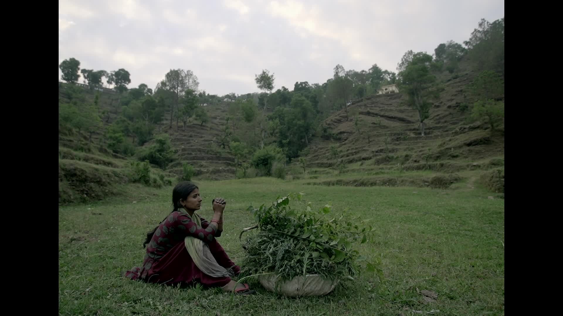 Lessons From The Loom - FilmFreeway