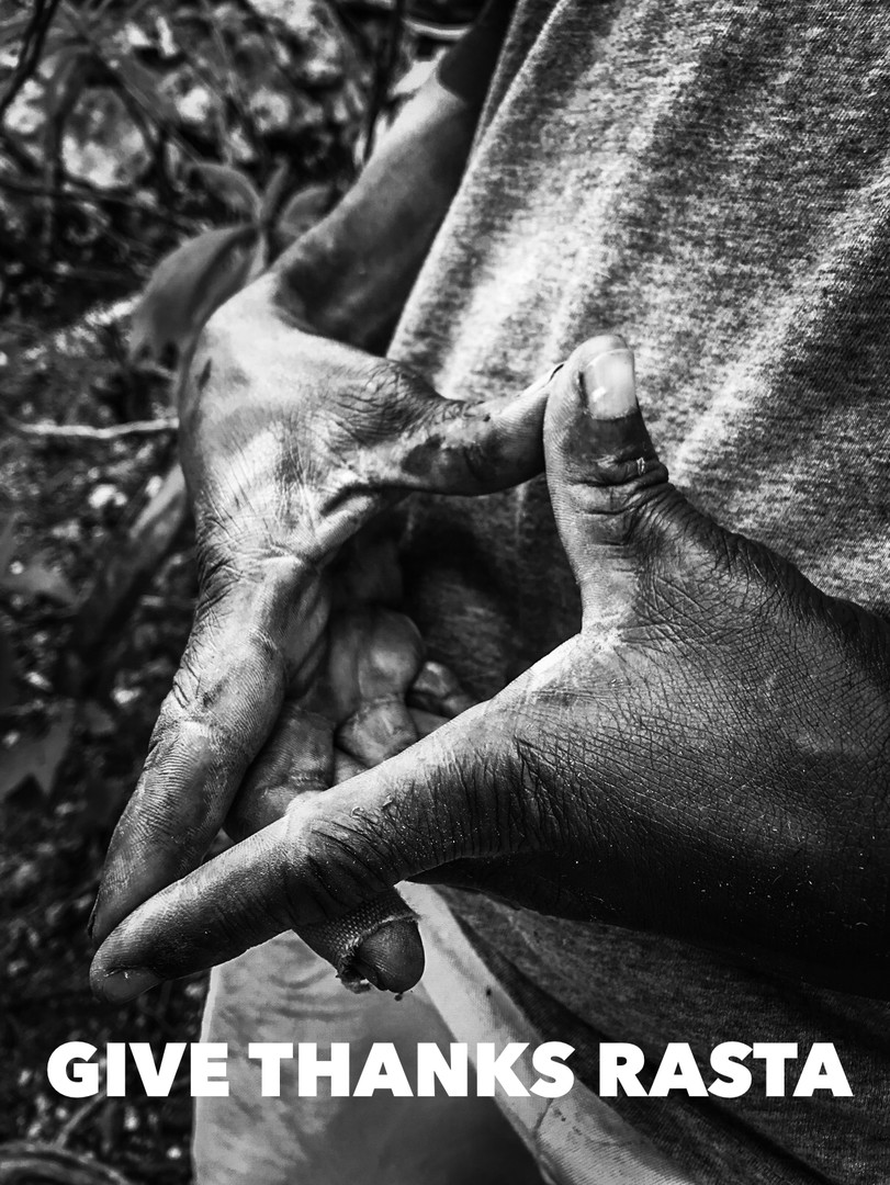 Give Thanks Rasta - FilmFreeway