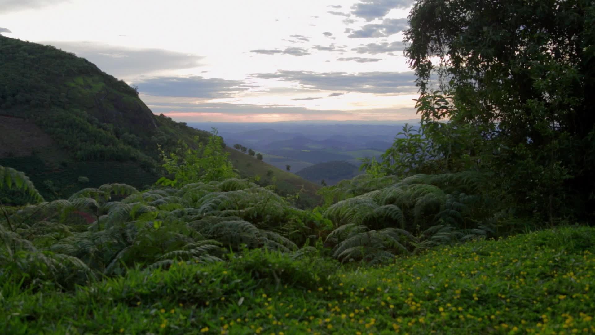 GDT sem legendas - FilmFreeway