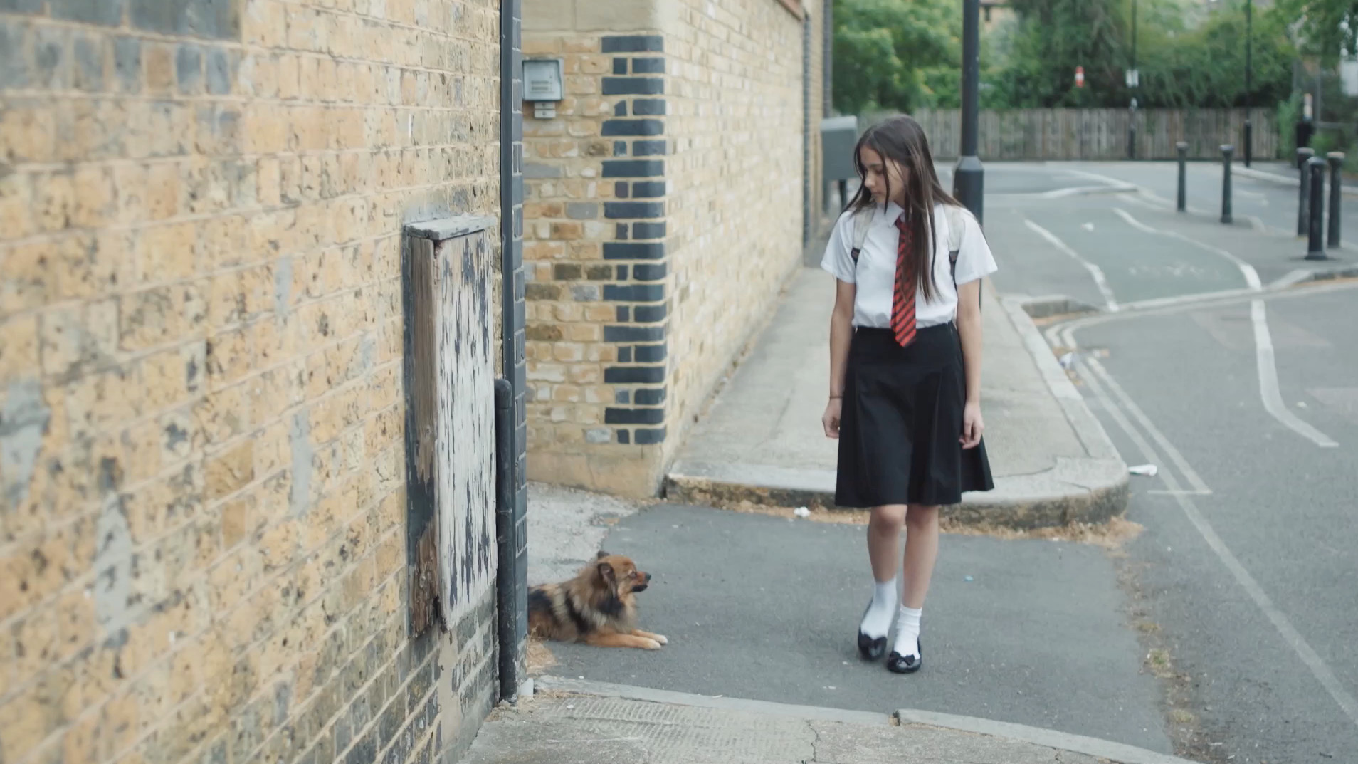 Dog Days - FilmFreeway