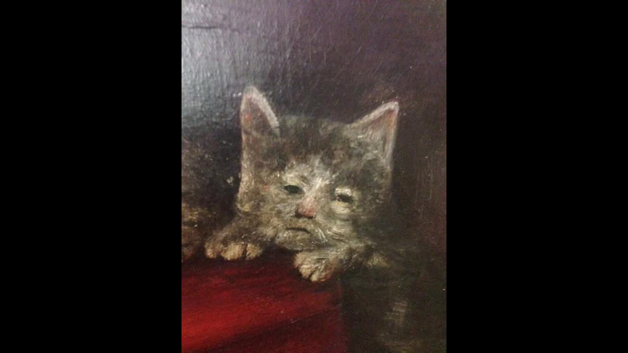 The Saga of Squash-Head Cat - FilmFreeway