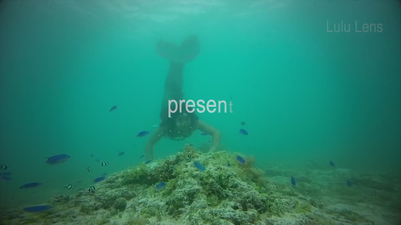 Aranuka Mermaid - FilmFreeway