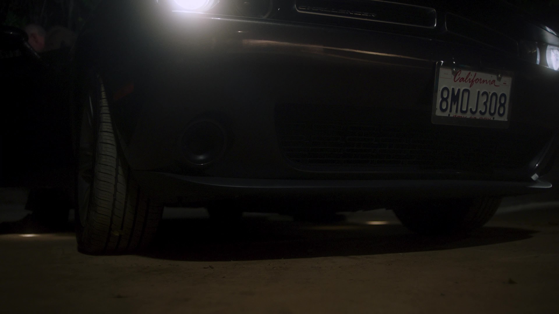 The Thieving Magpie - FilmFreeway