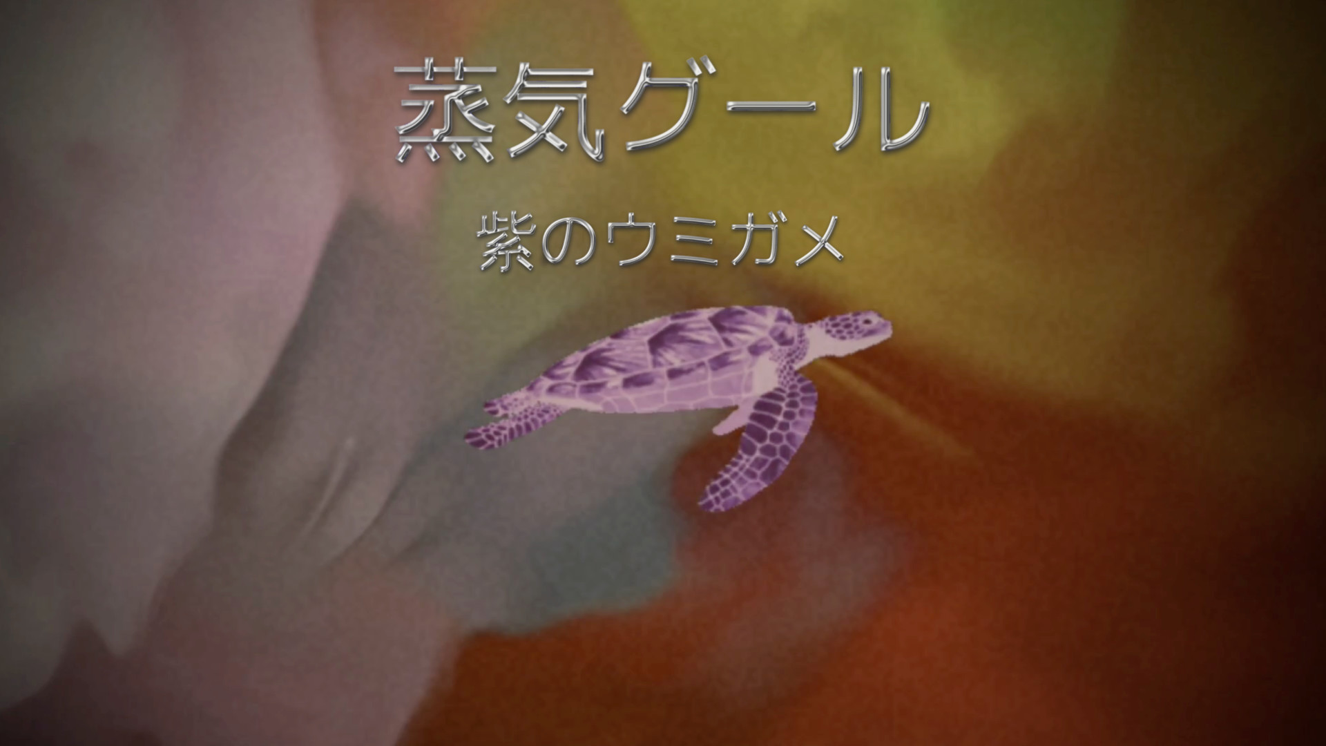 Purple Sea Turtle - FilmFreeway
