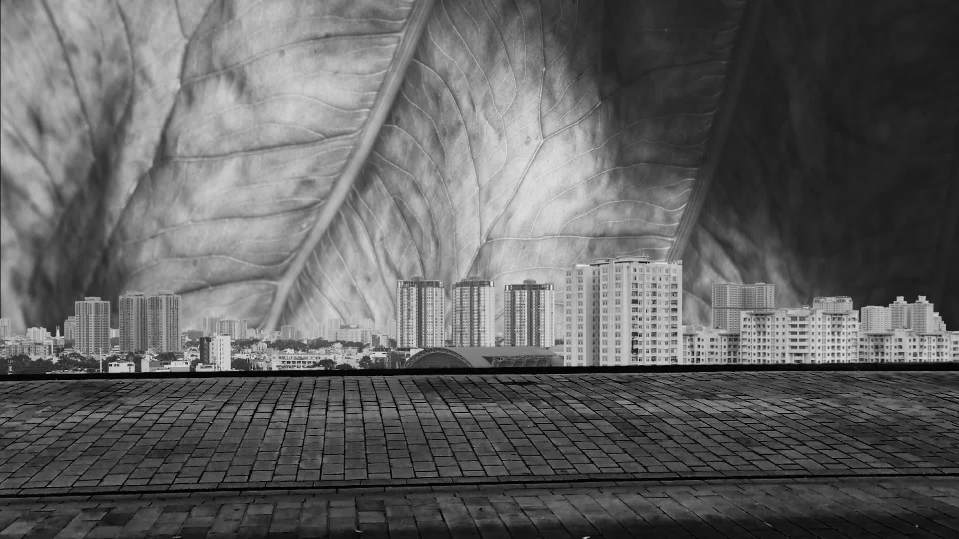 The Detached Observer (L'observatrice Détachée) - FilmFreeway