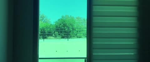 The Question - FilmFreeway