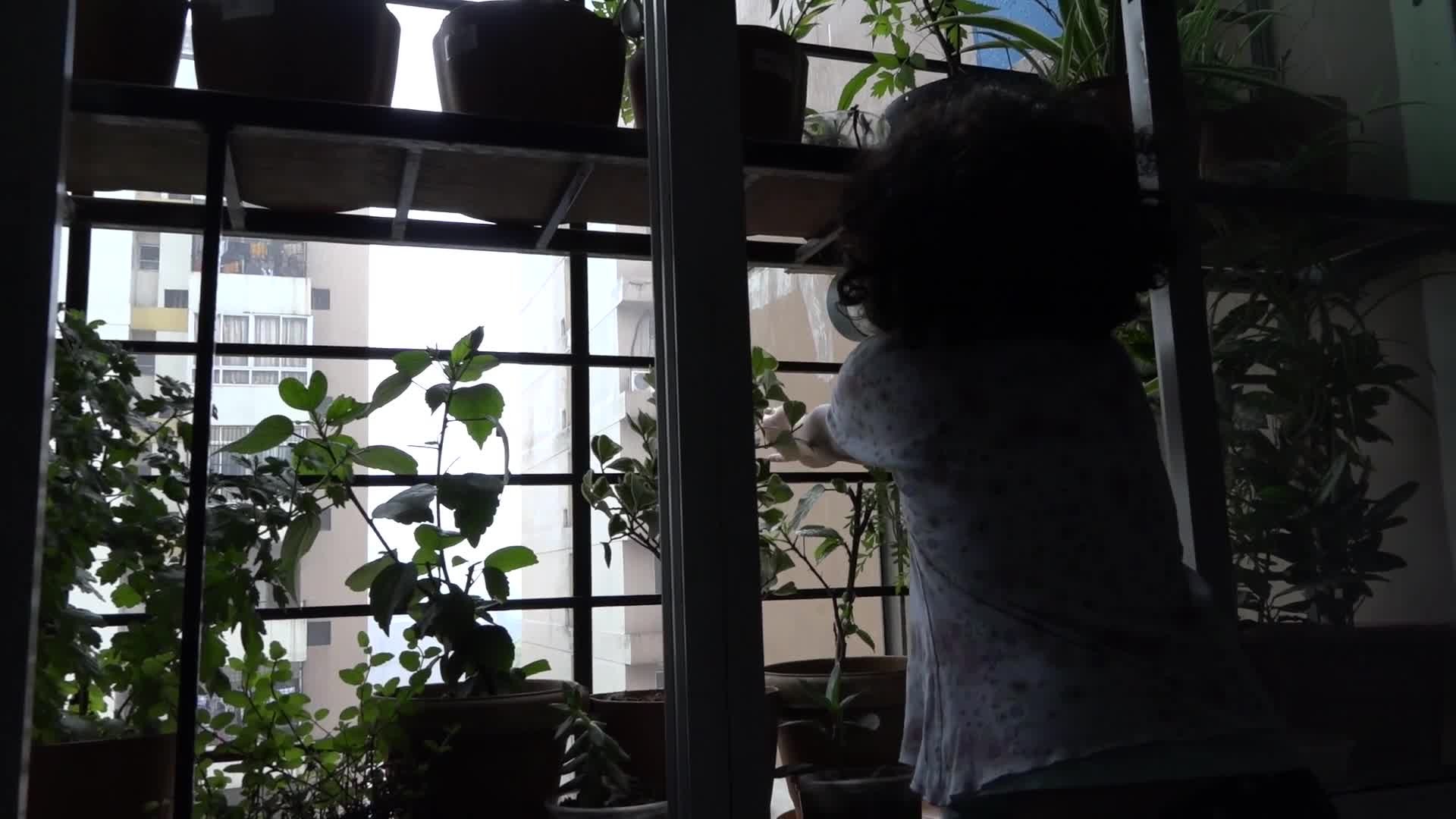 Once Upon a Lockdown - FilmFreeway