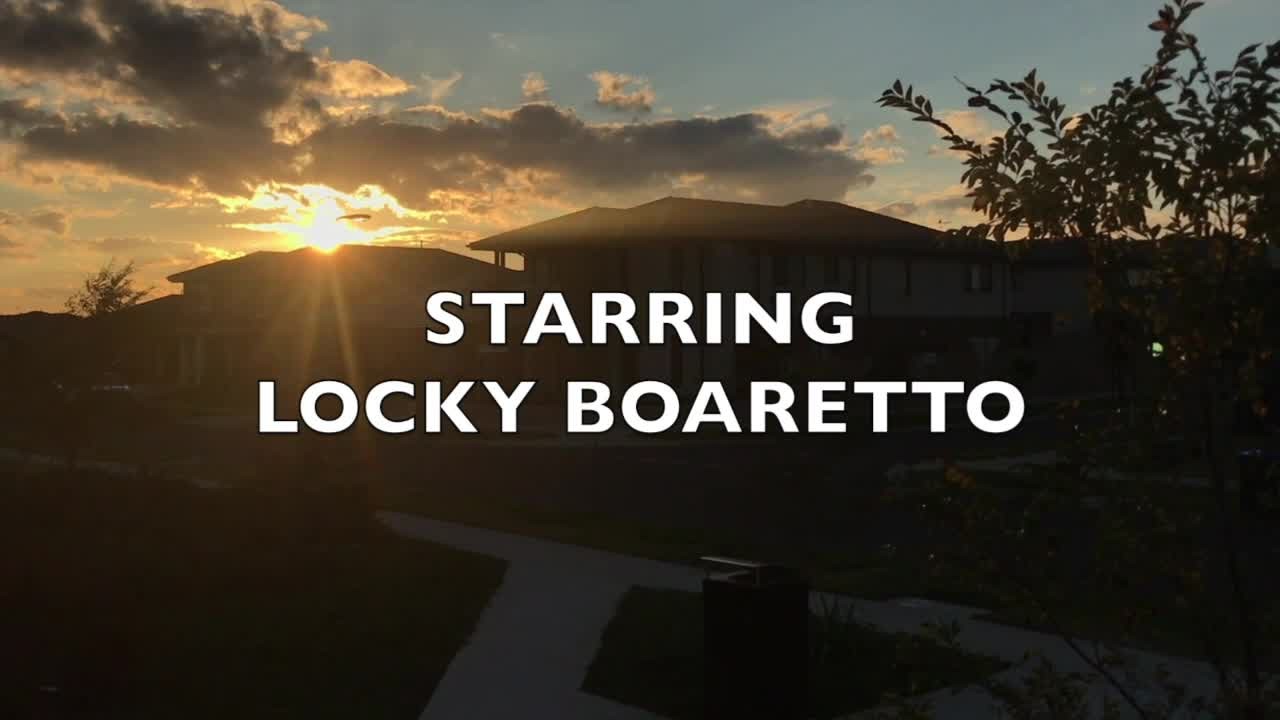 JUMPING AT SHADOWS 2 - FilmFreeway