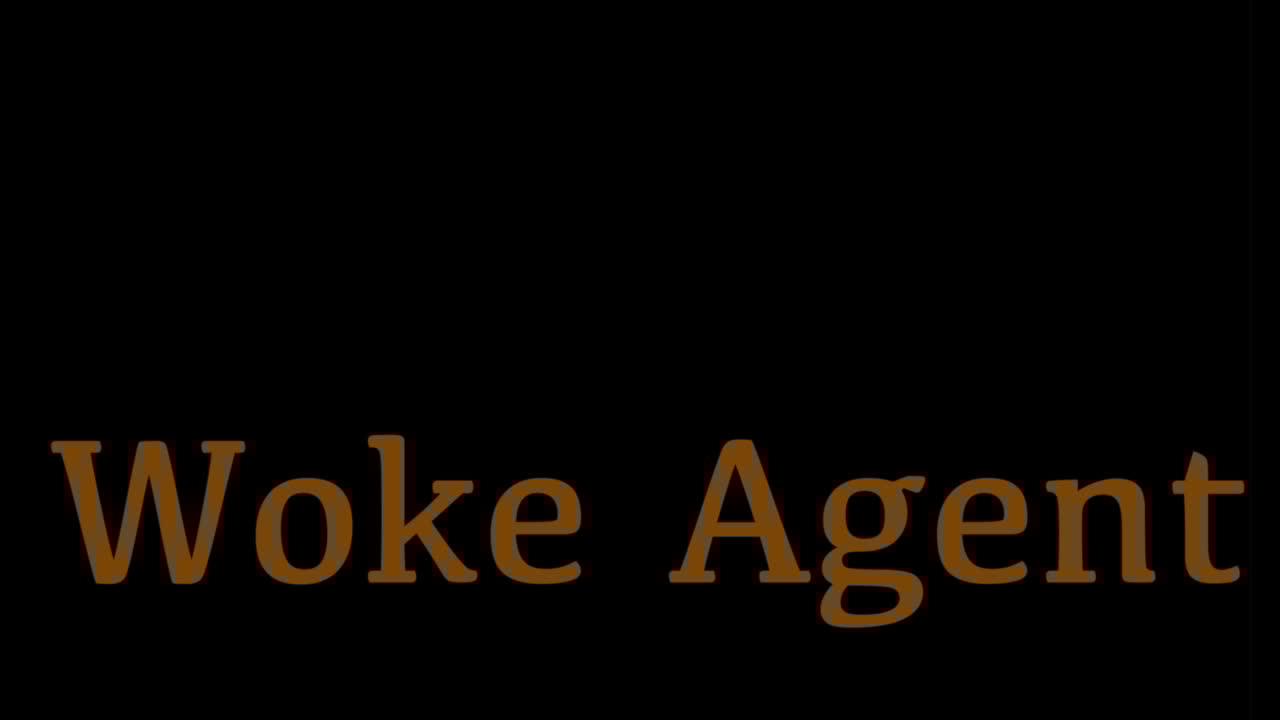 Last Day's Woke Agent - FilmFreeway