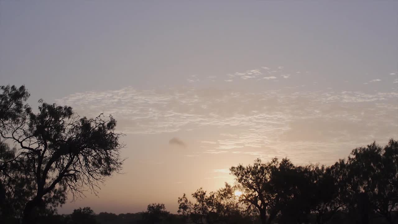 Truly Texas Mexican - FilmFreeway