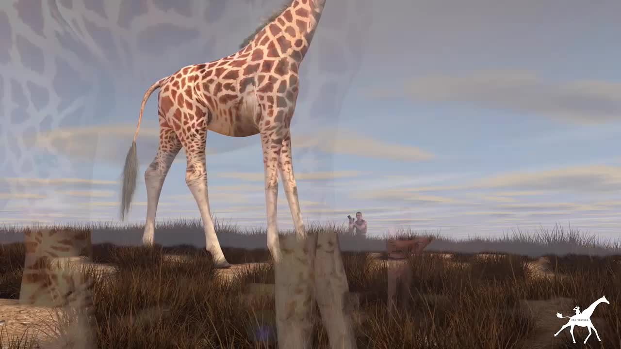 Zac Ventura: Animal Photographer - FilmFreeway