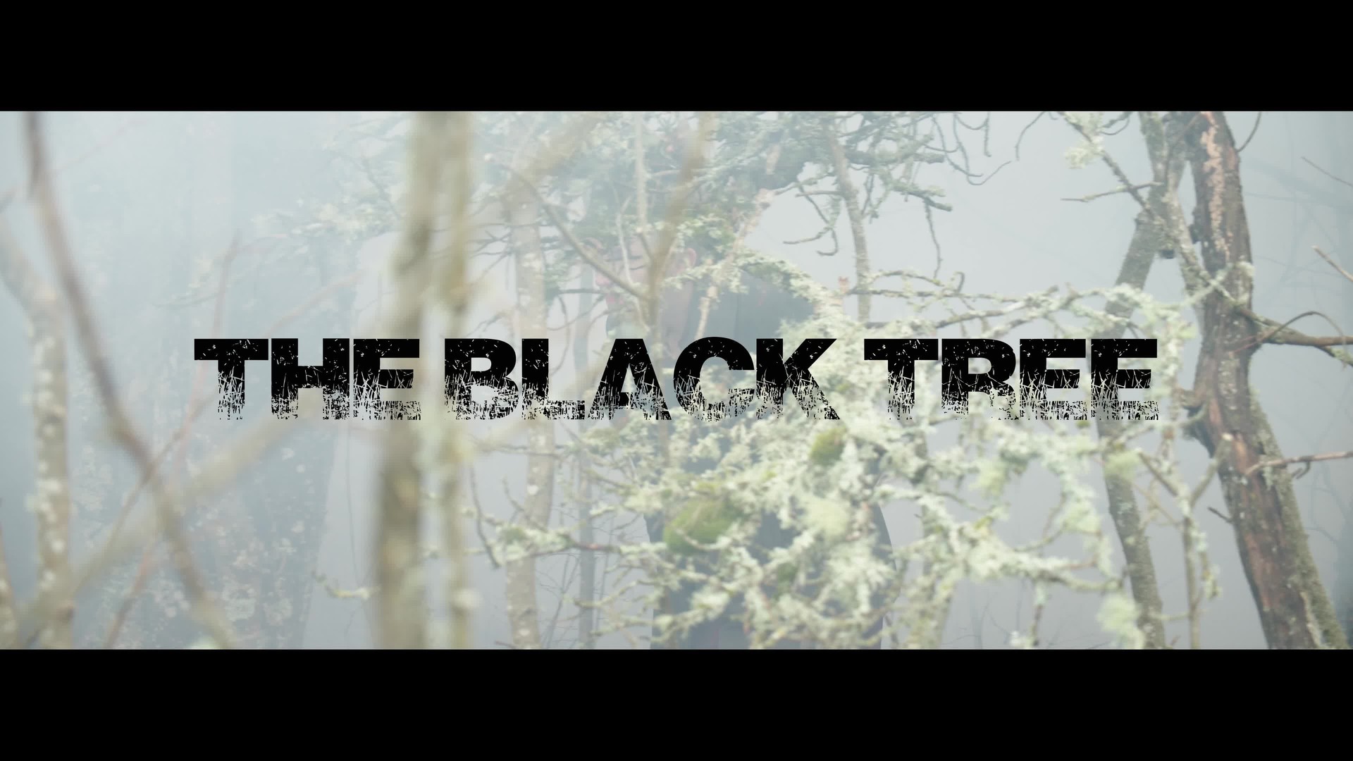 The Black Tree - FilmFreeway