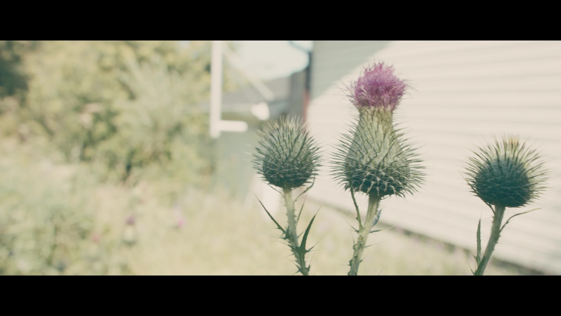 A Man Without A Home - FilmFreeway
