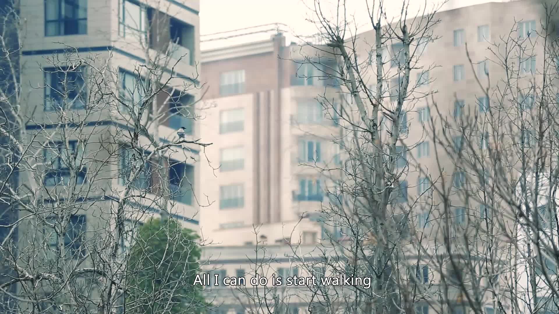 shallow - FilmFreeway