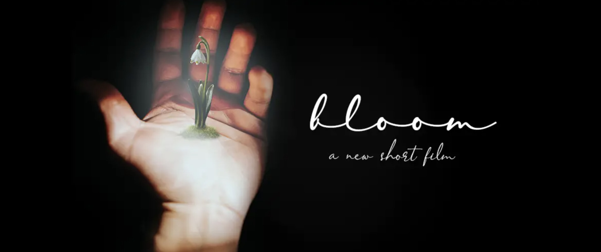 Bloom - FilmFreeway