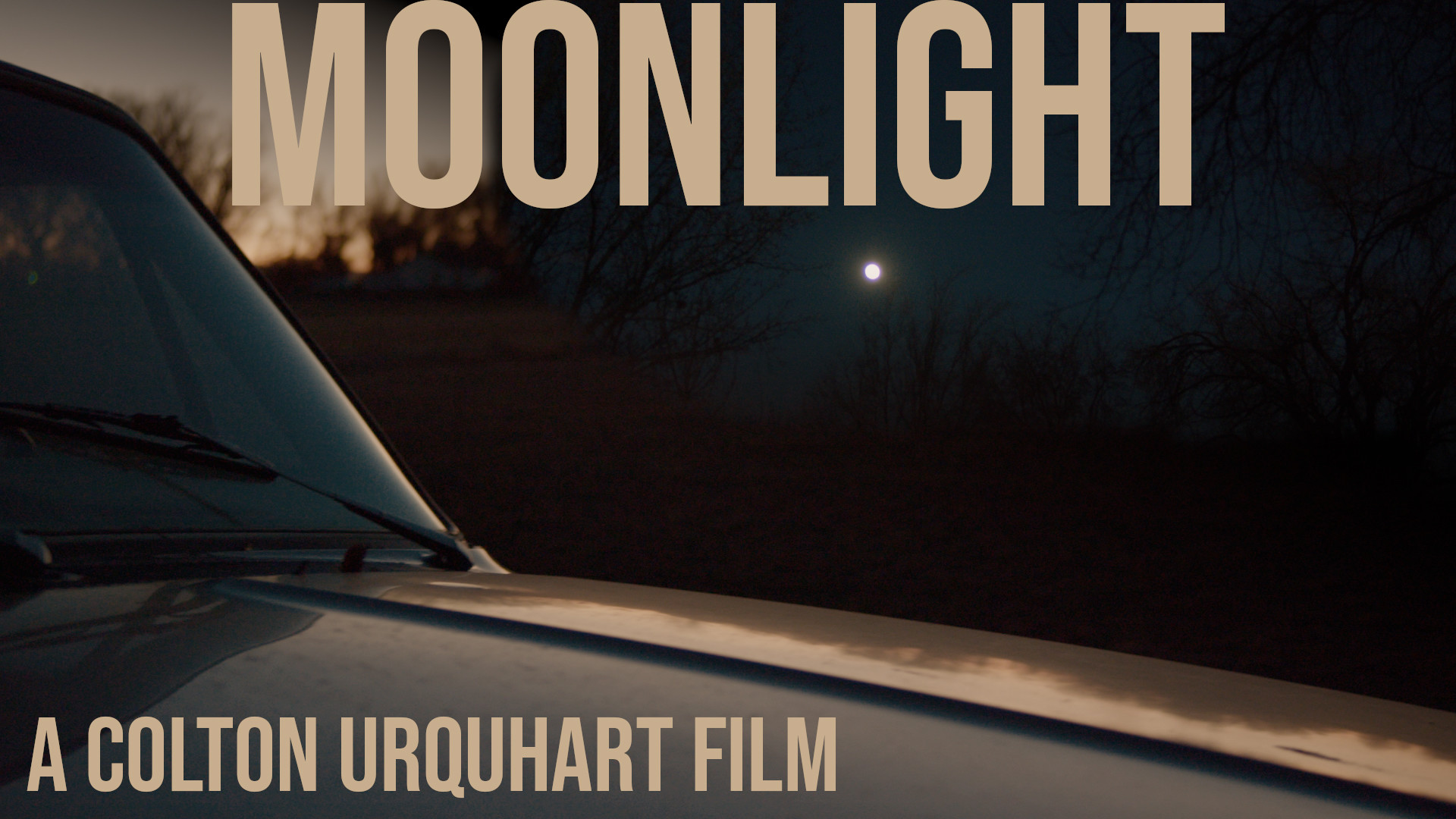 Moonlight - FilmFreeway