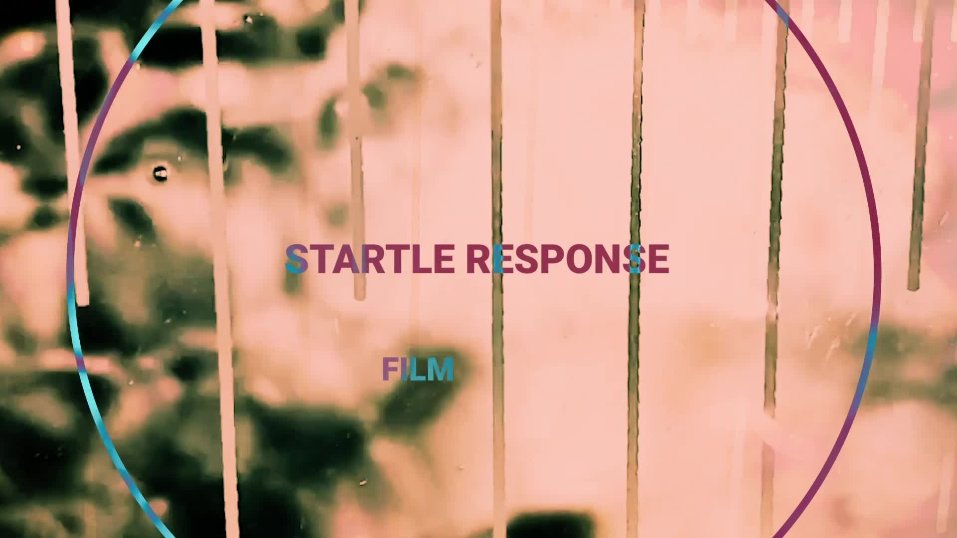 STARTLE RESPONSE - FilmFreeway
