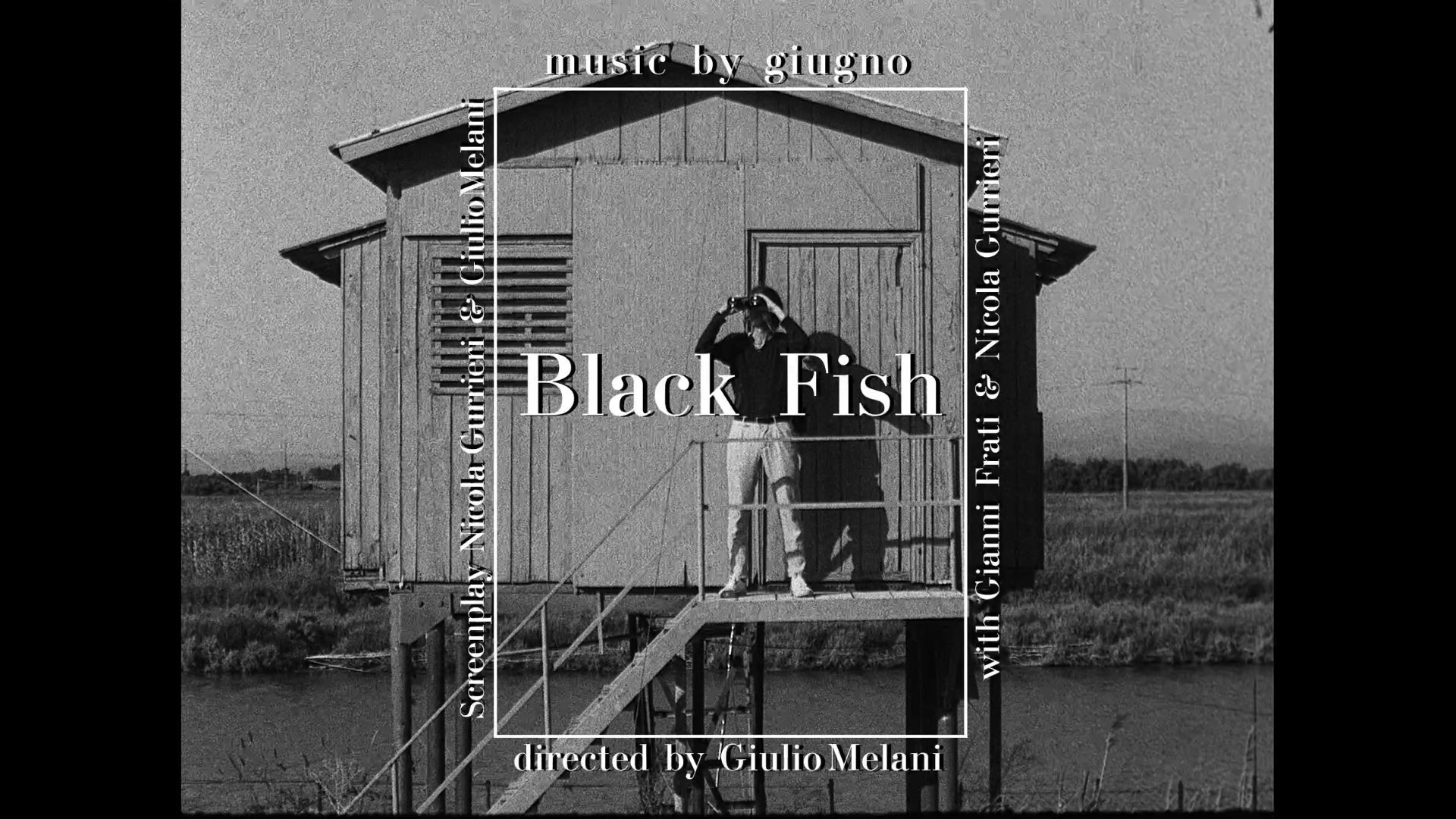 Black Fish - FilmFreeway