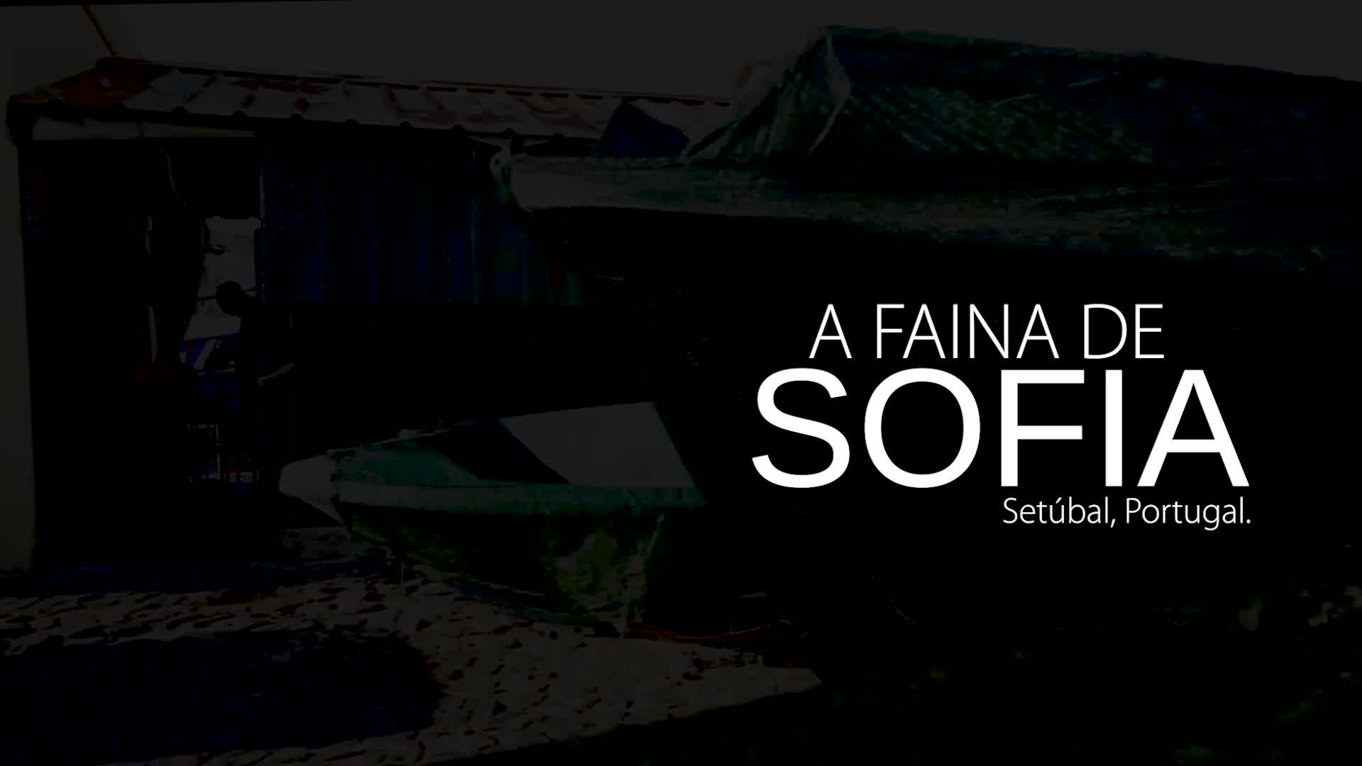 A Faina de Sofia - FilmFreeway
