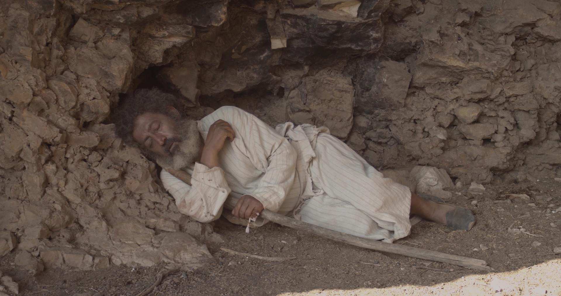 Ant and Human - FilmFreeway