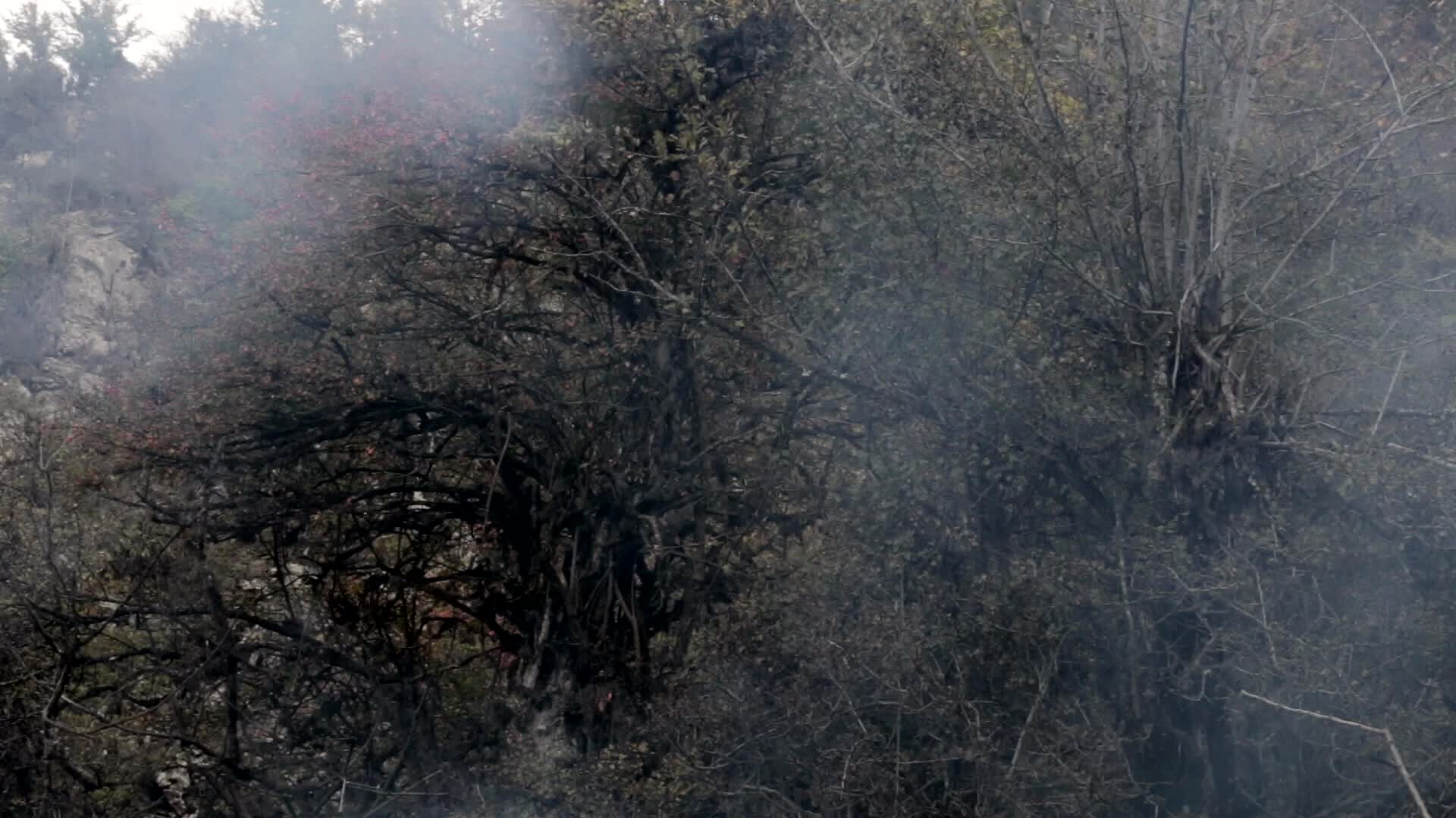 Creepy Steps - FilmFreeway