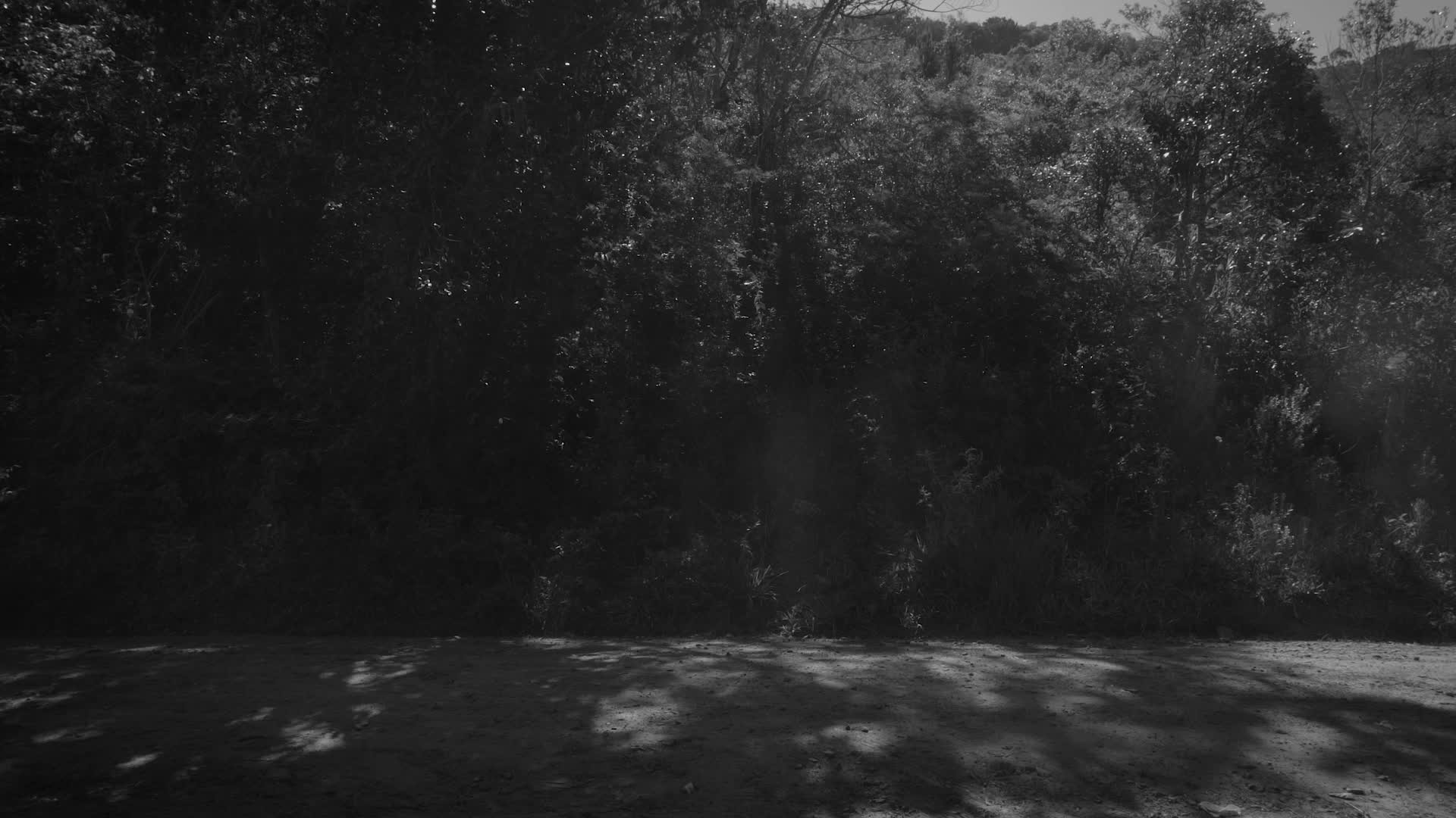 The Minor Demons - FilmFreeway