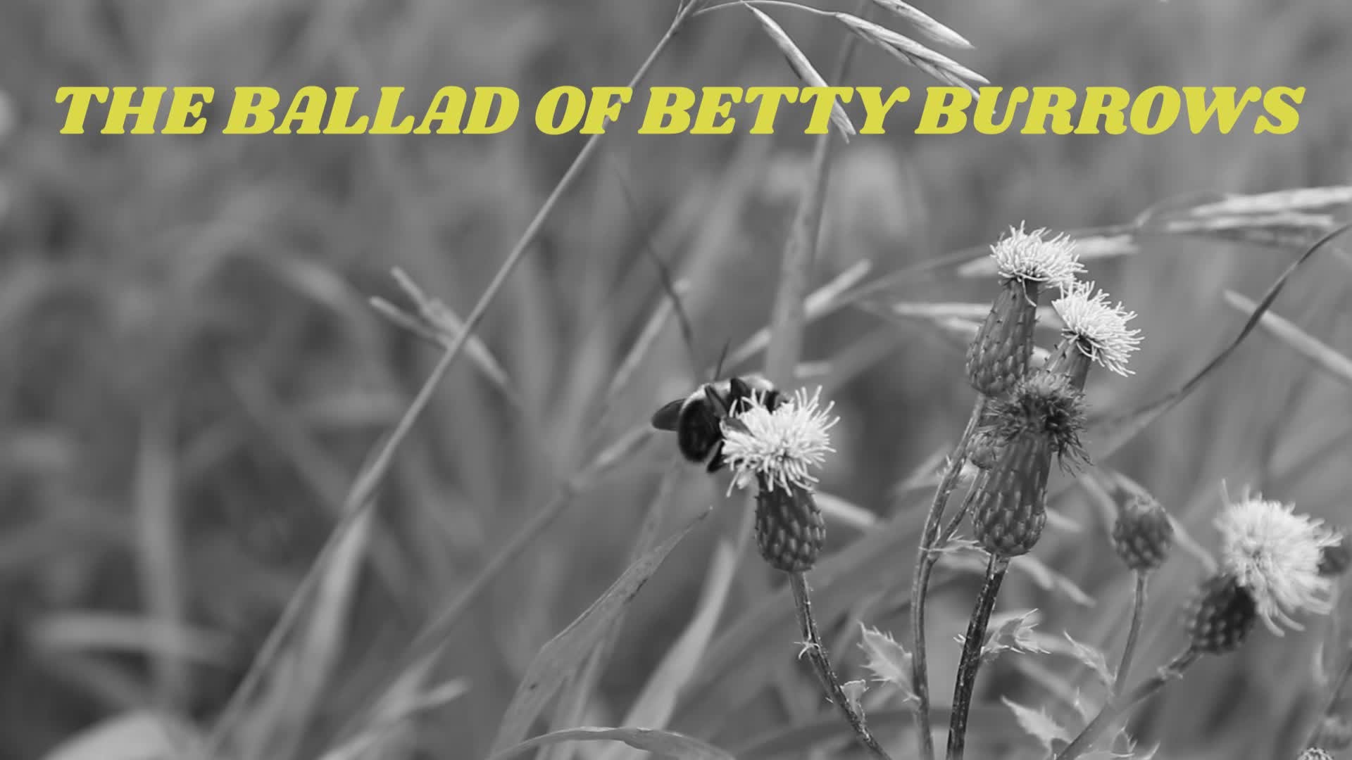 The Ballad of Betty Burrows - FilmFreeway