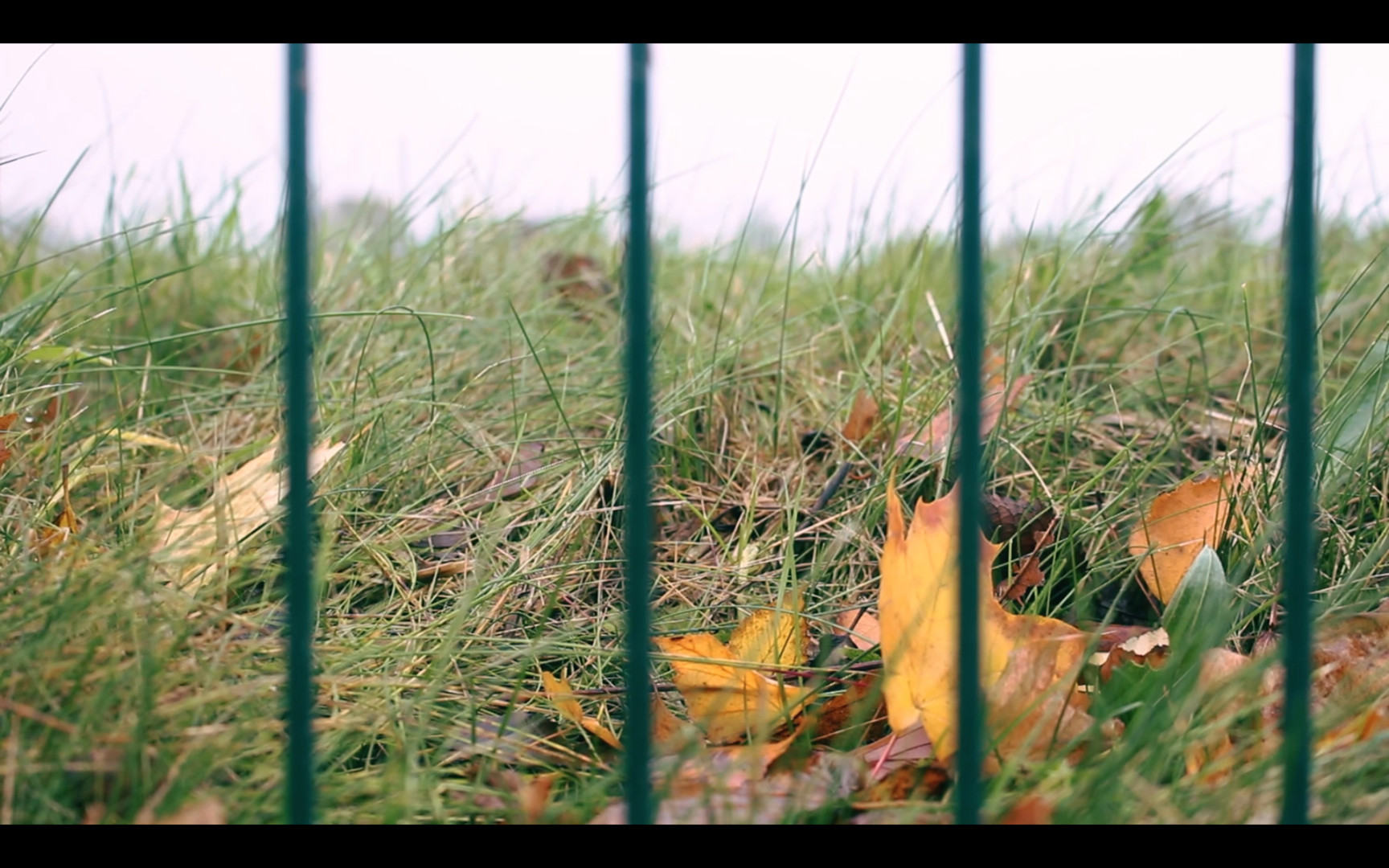 System - FilmFreeway