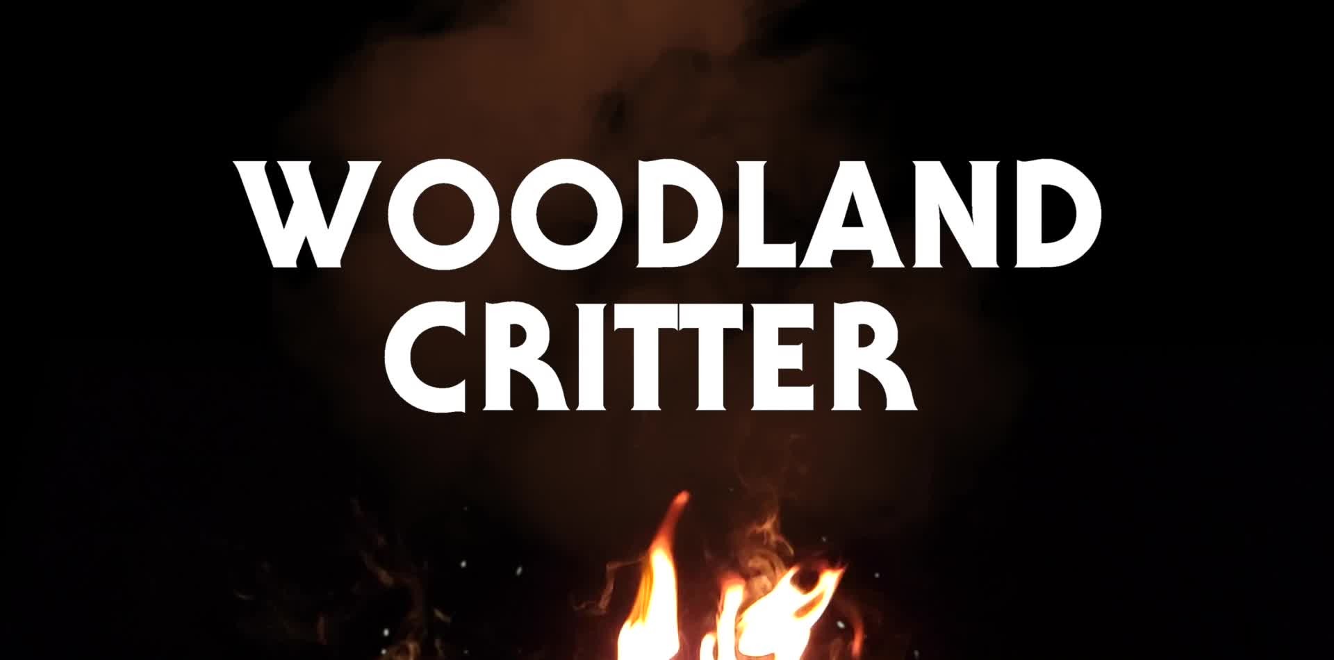 Woodland Critter - FilmFreeway