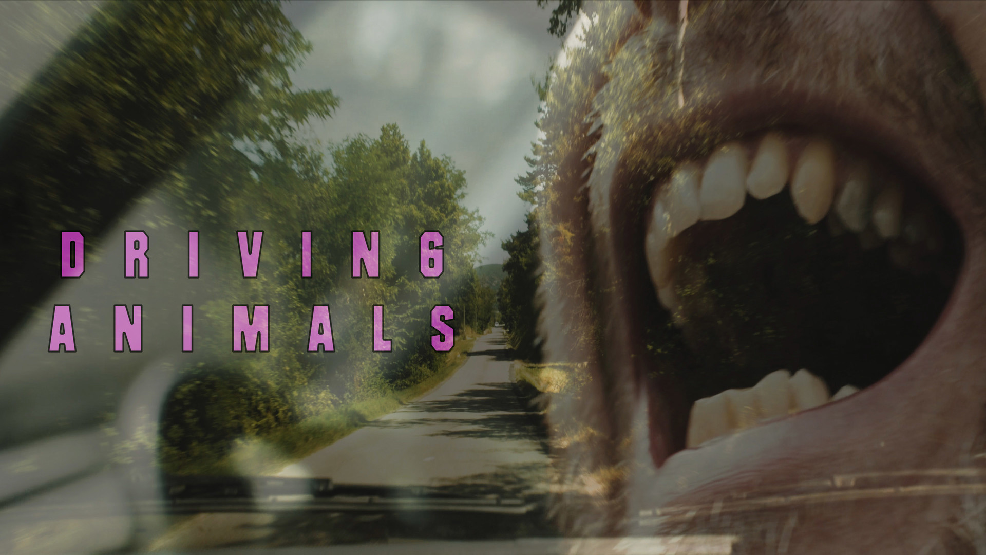 Driving Animals - FilmFreeway