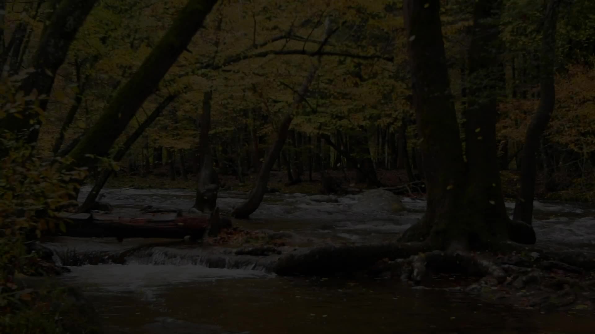 The Far Green Country 2: At Road's End - FilmFreeway