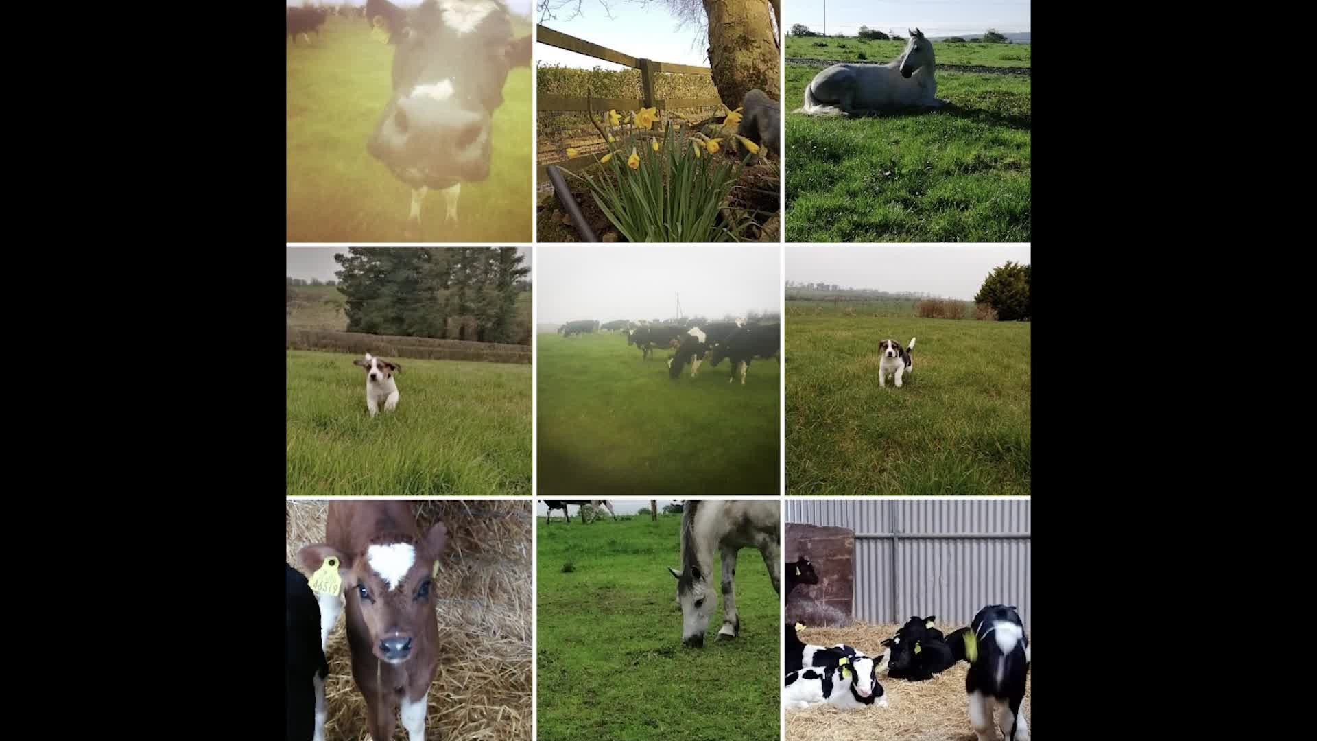 Spring - FilmFreeway