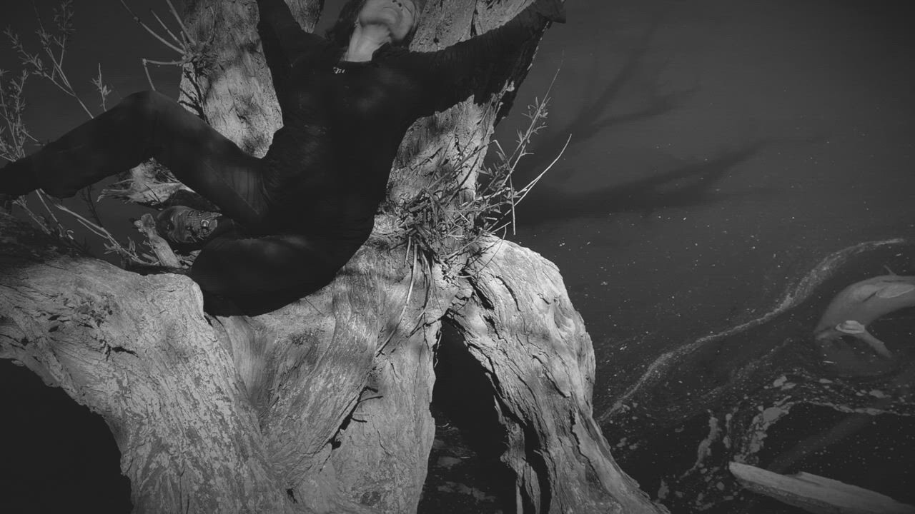 Listening Tree - FilmFreeway