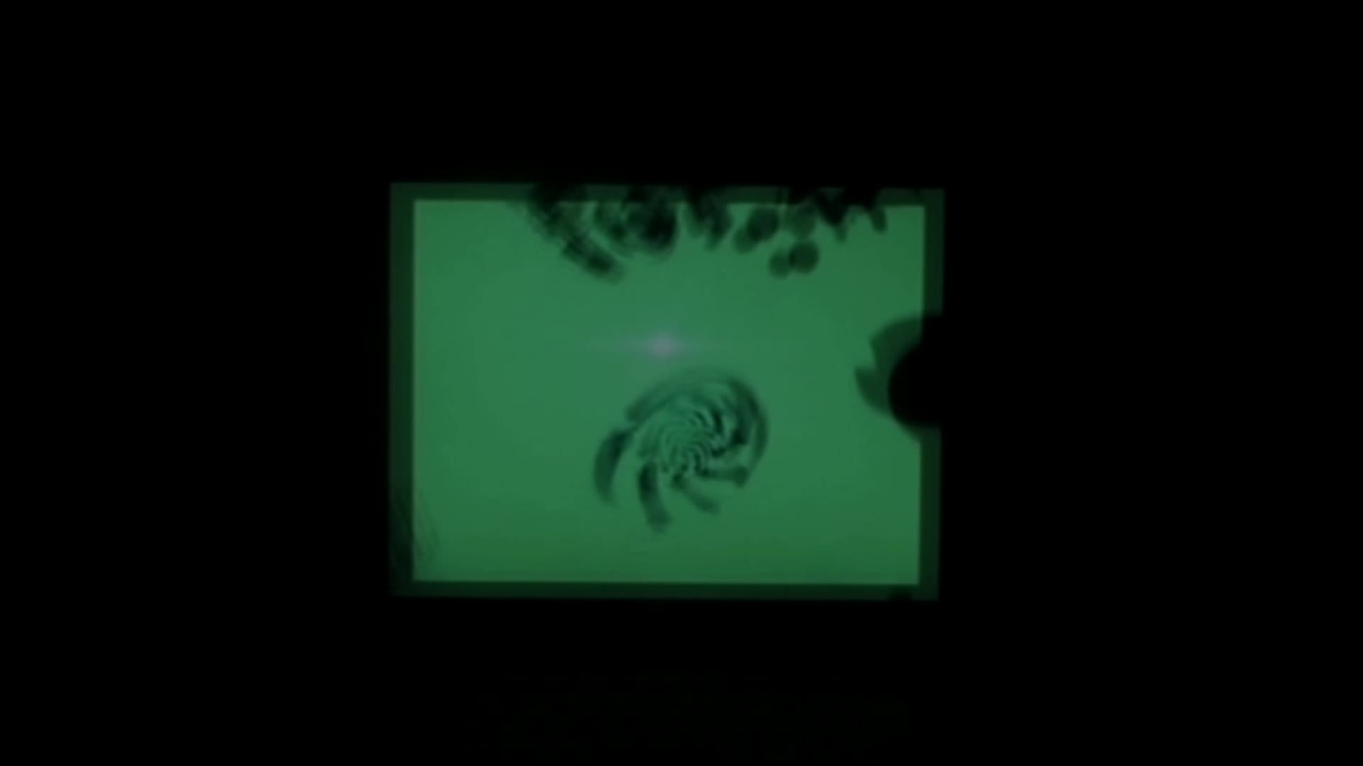 Severed Bugged things - FilmFreeway