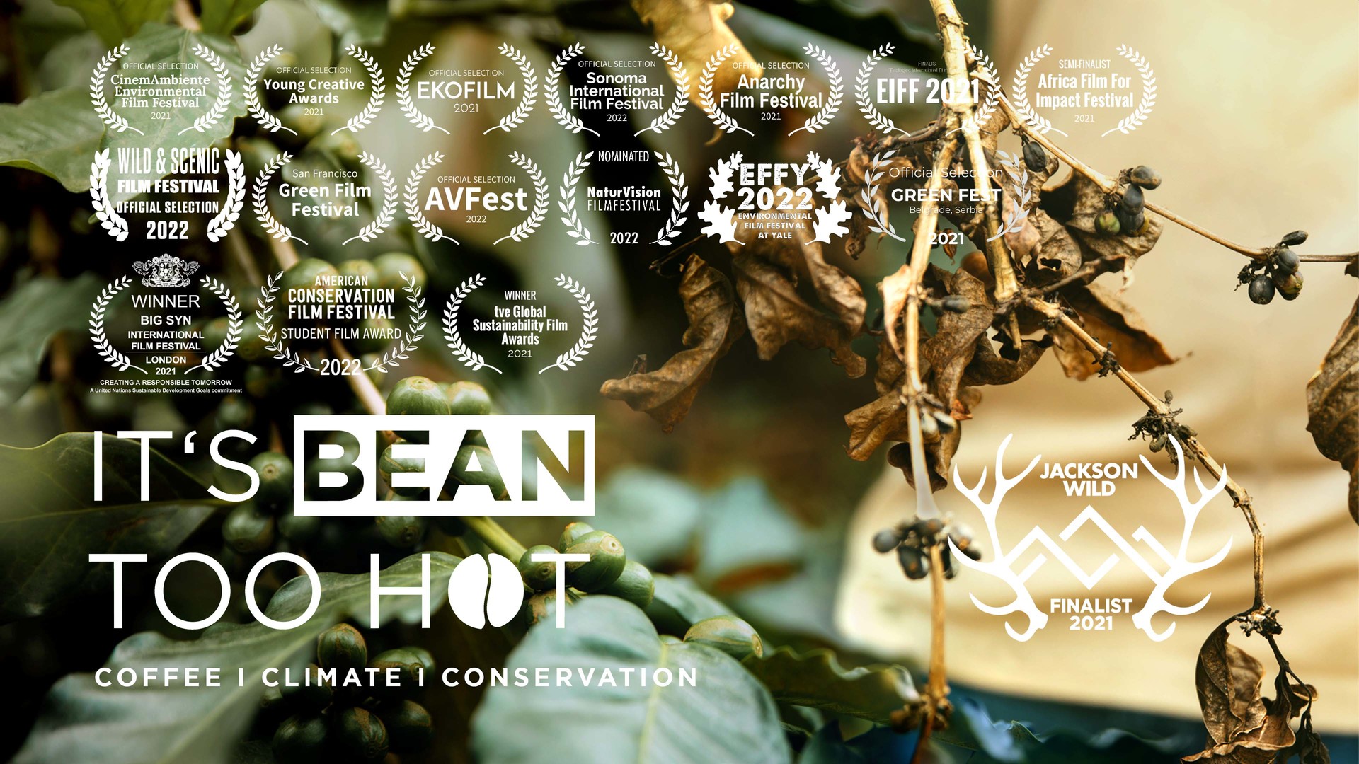 It's Bean Too Hot - FilmFreeway