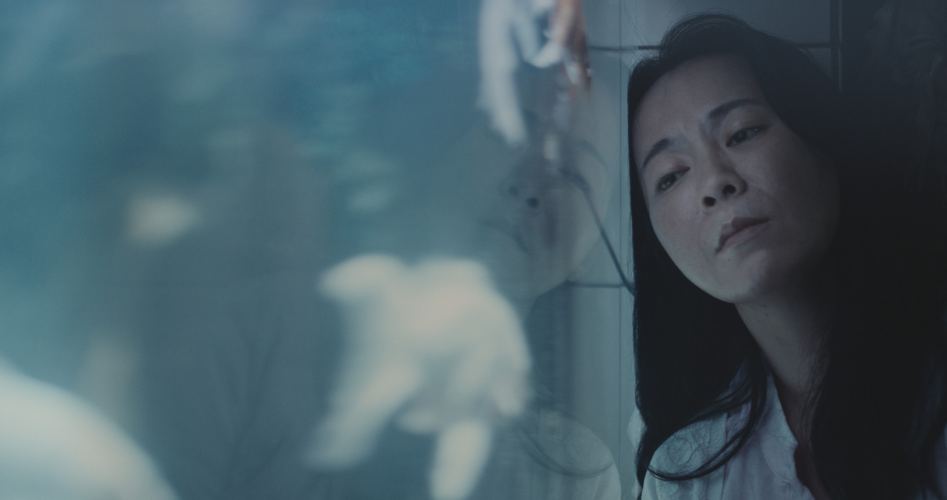 Partner - FilmFreeway