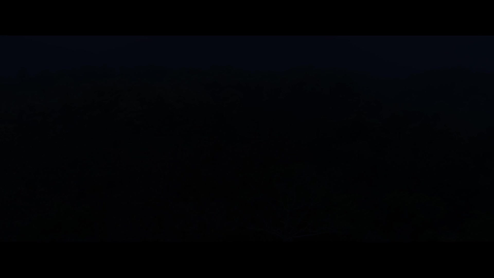 The Wait - FilmFreeway