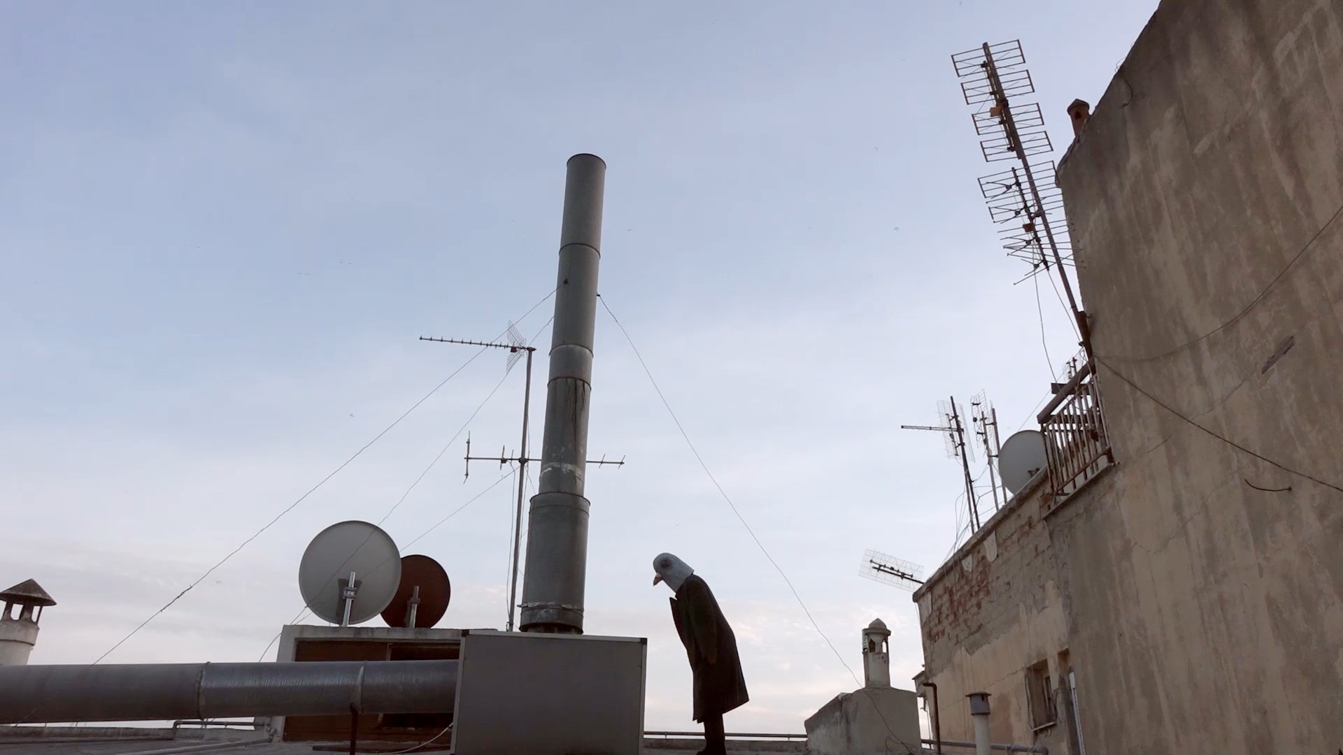 pigeon-off - FilmFreeway