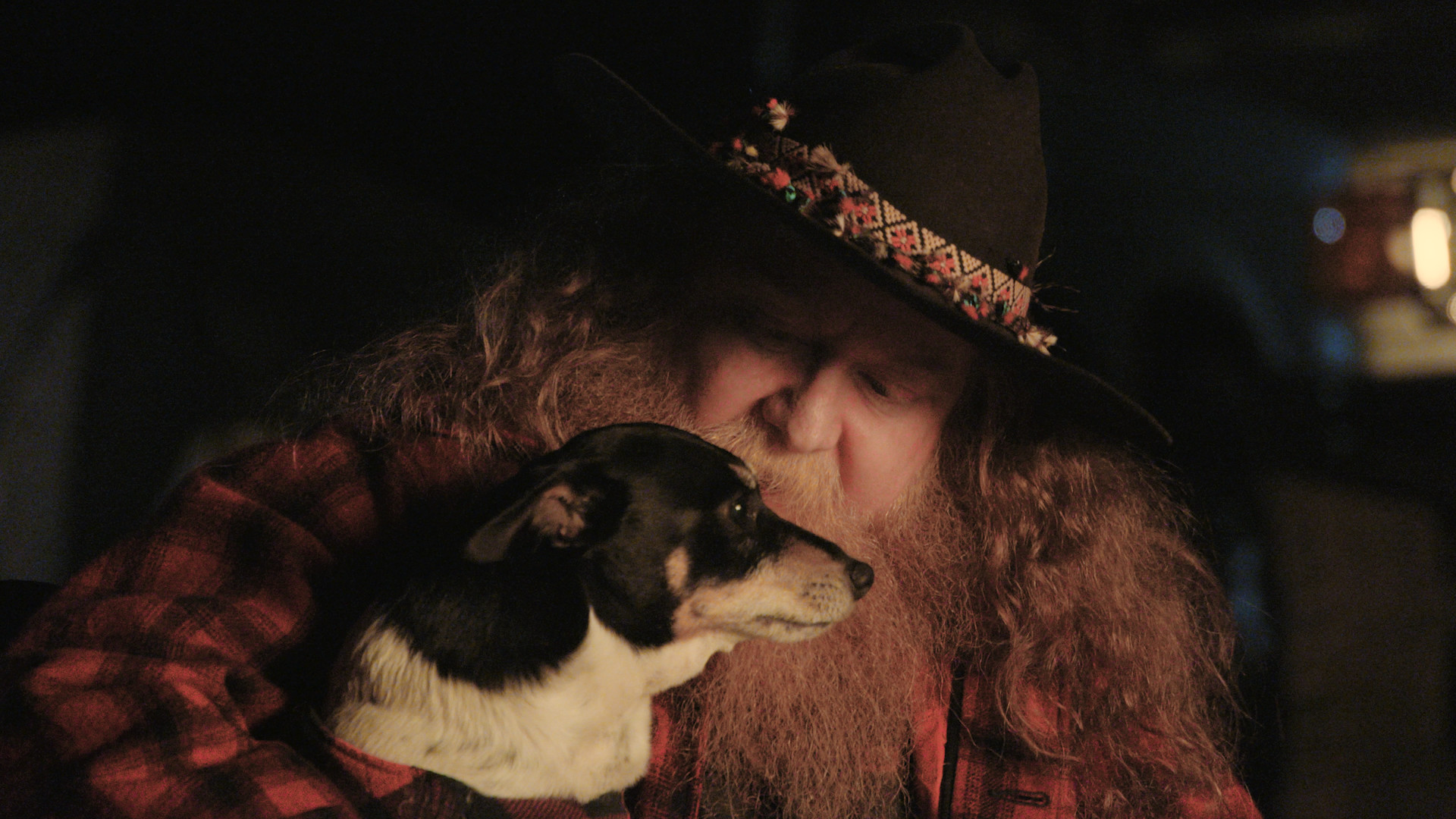 Beauty and Terror - FilmFreeway