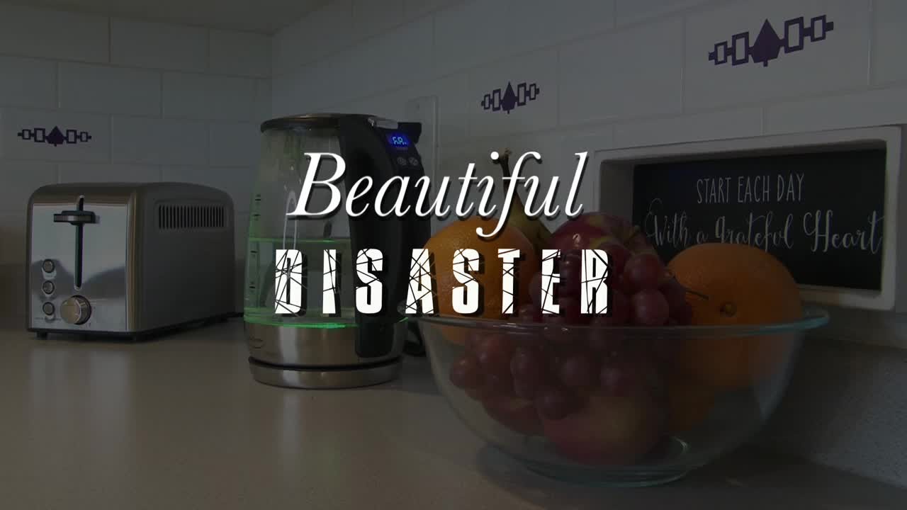 Beautiful Disaster - FilmFreeway